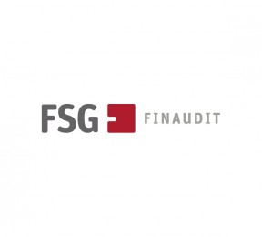 fsg finaudit - FSG Group - FSG Group